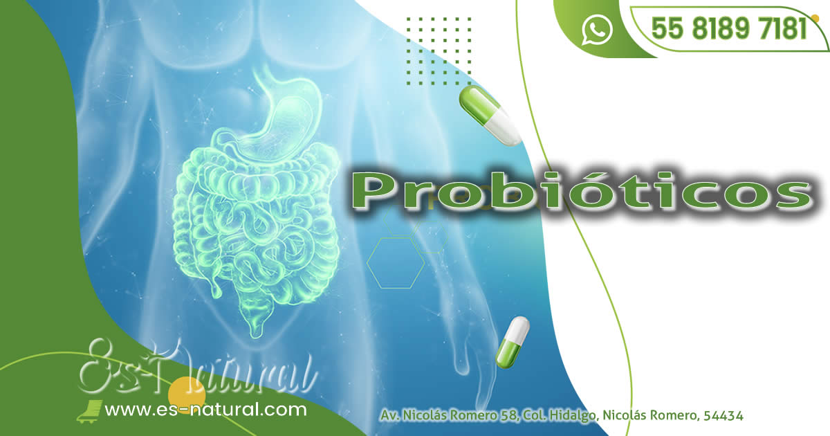 Prebióticos, Probióticos y Postbióticos ¿Qué son y para qué sirven ...